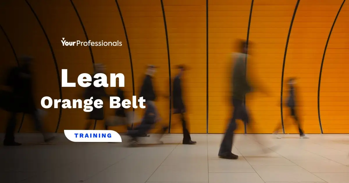 Training Lean Black Belt | Your Professionals